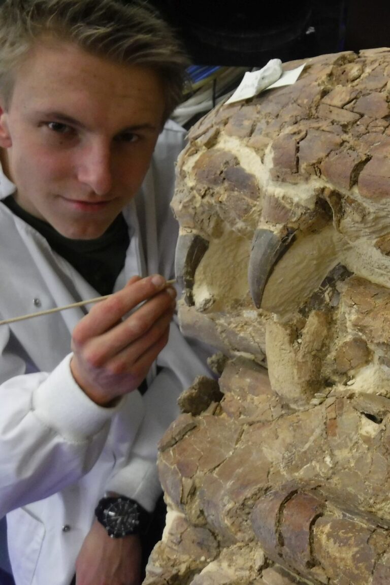 Lars Barten - Natuurhistorisch Museum Maastricht