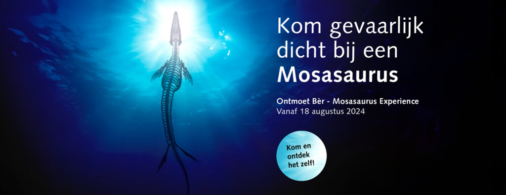 Ontmoet Bèr - Mosasaurus experience - Natuurhistorisch Museum Maastricht