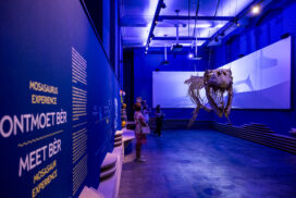 Ontmoet Bèr - Mosasaurus experience - Natuurhistorisch Museum Maastricht
