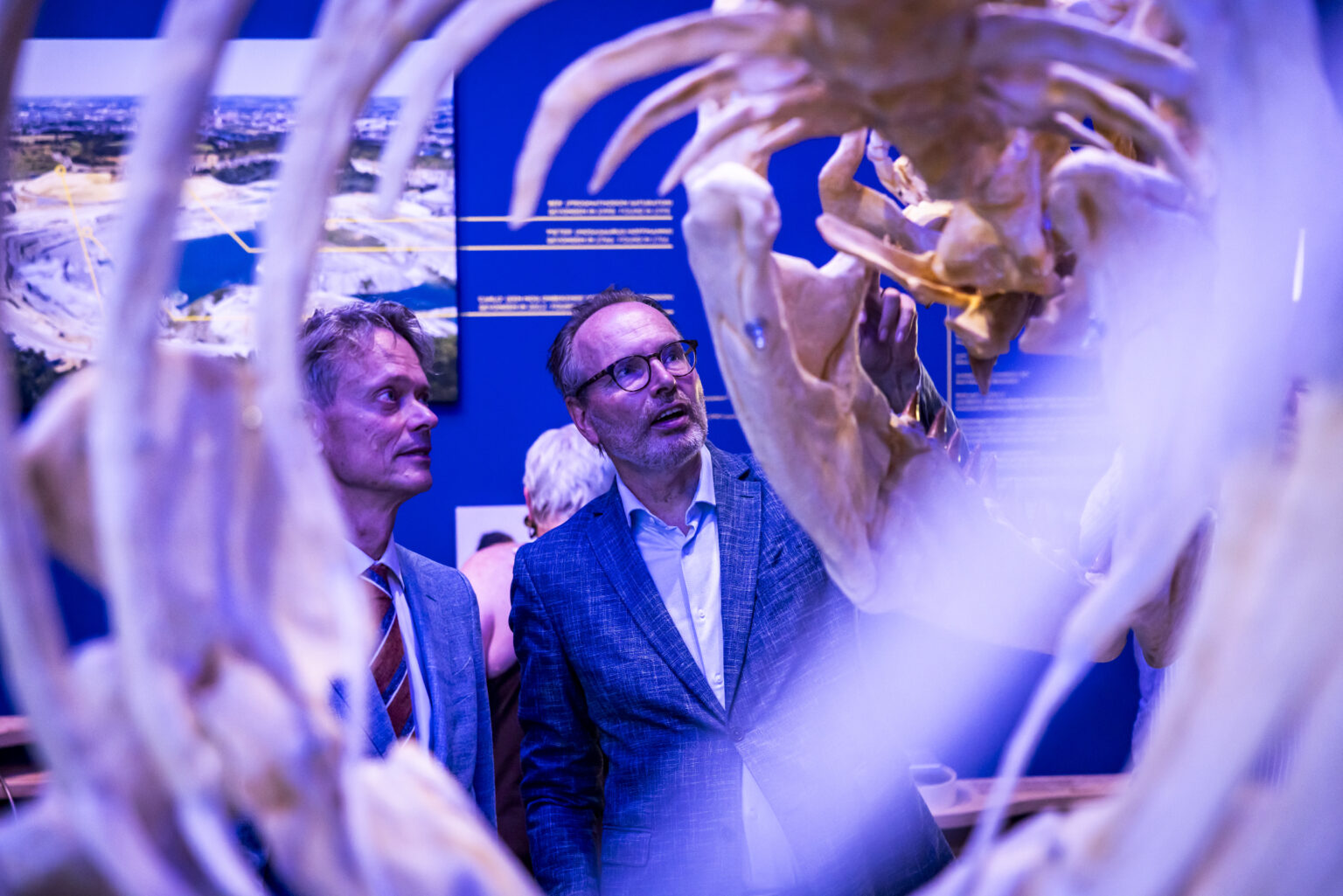 Ontmoet Bèr - Mosasaurus experience - Natuurhistorisch Museum Maastricht