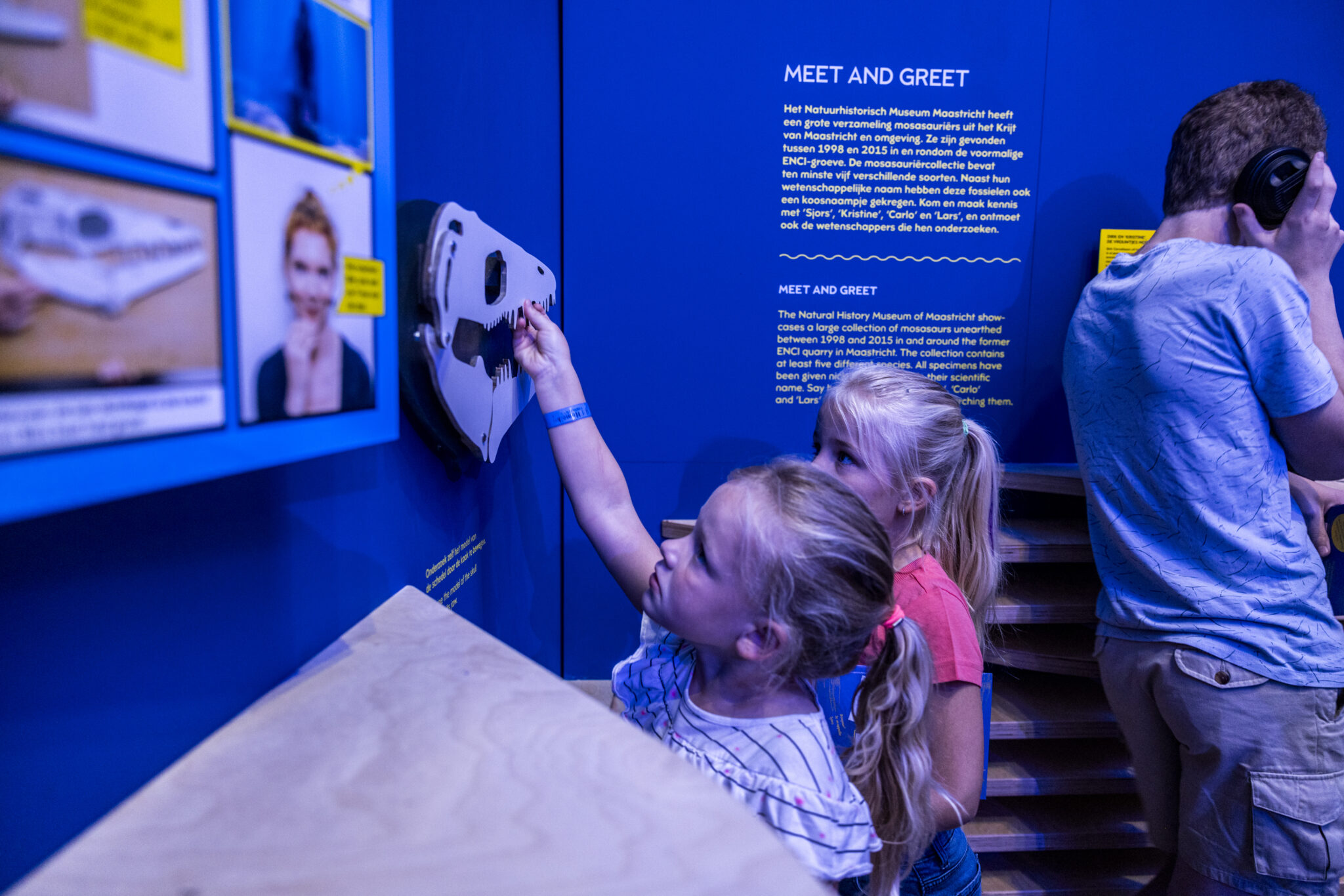 Ontmoet Bèr - Mosasaurus experience - Natuurhistorisch Museum Maastricht