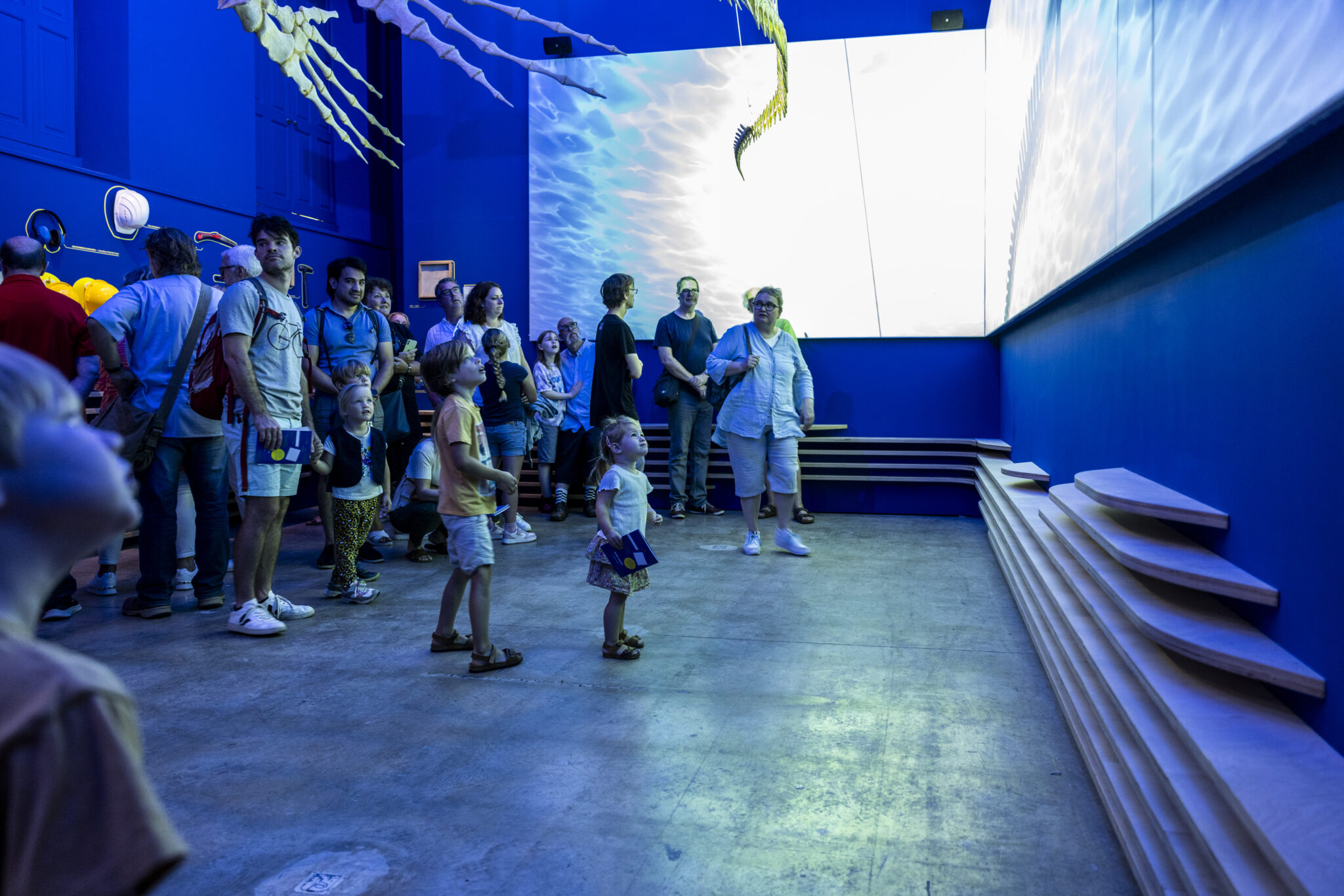 Ontmoet Bèr - Mosasaurus experience - Natuurhistorisch Museum Maastricht