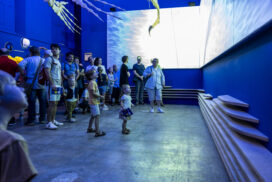 Ontmoet Bèr - Mosasaurus experience - Natuurhistorisch Museum Maastricht