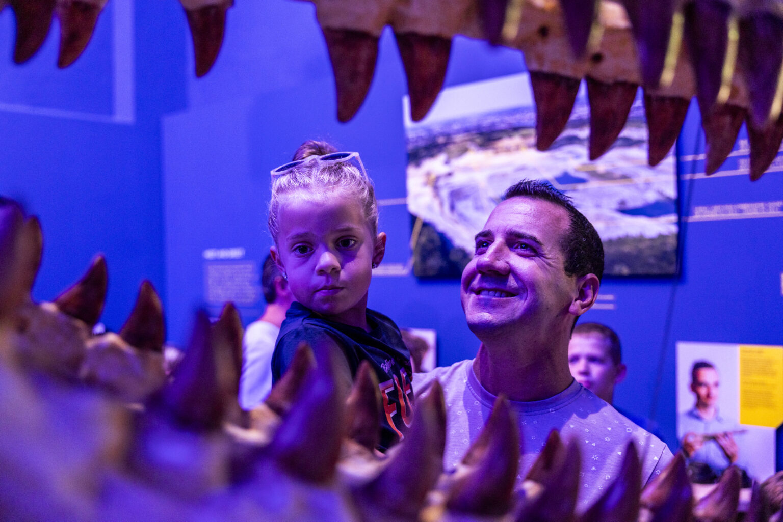 Ontmoet Bèr - Mosasaurus experience - Natuurhistorisch Museum Maastricht