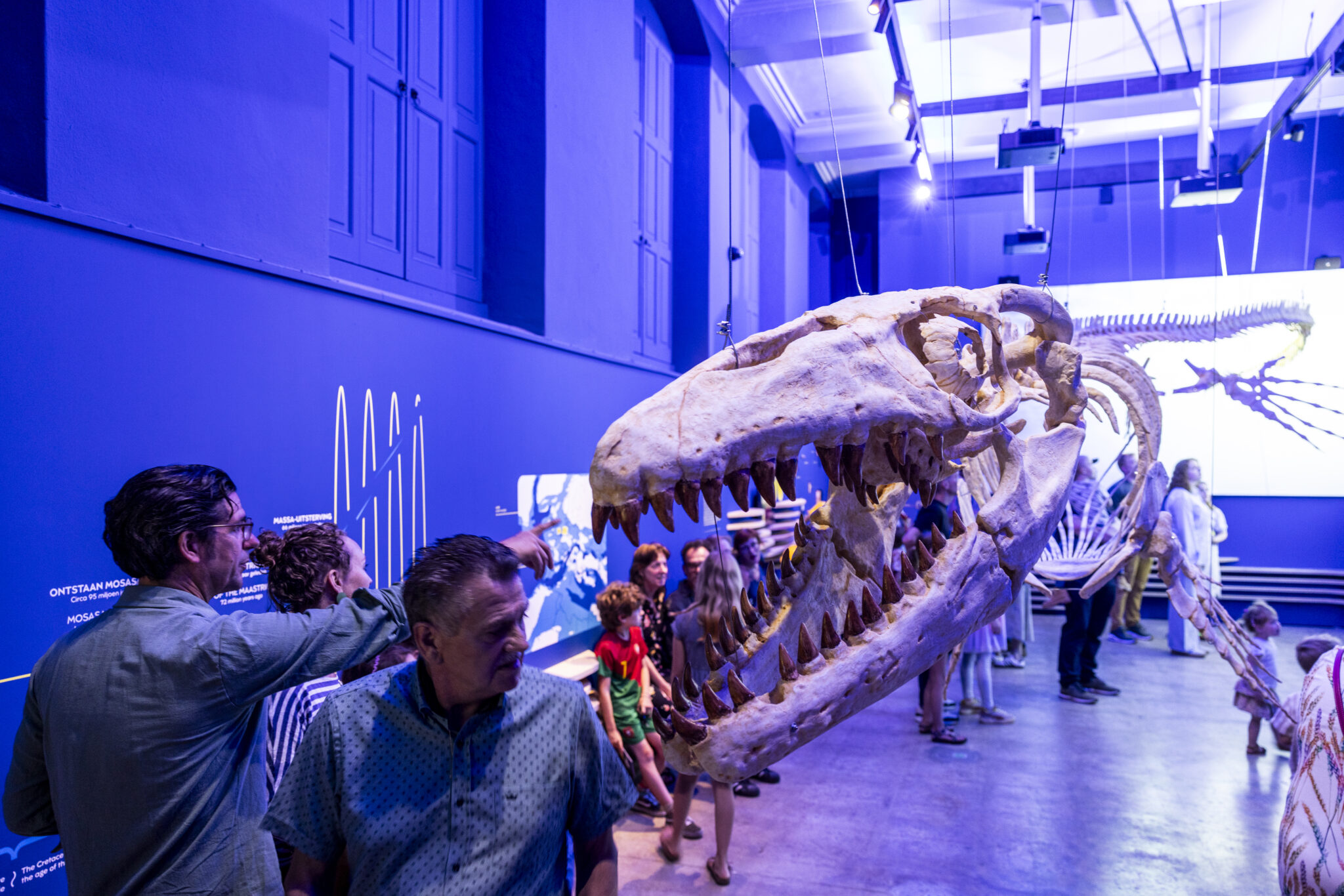 Ontmoet Bèr - Mosasaurus experience - Natuurhistorisch Museum Maastricht