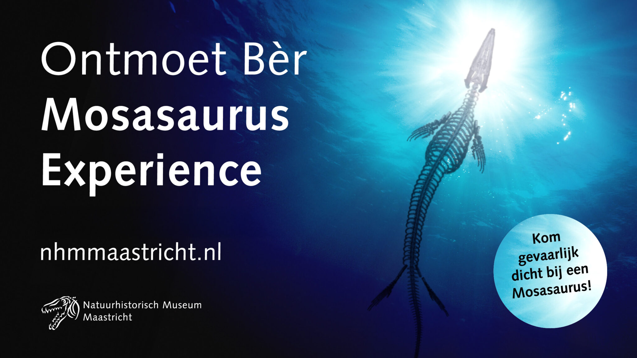 Ontmoet Bèr - Mosasaurus experience - Natuurhistorisch Museum Maastricht
